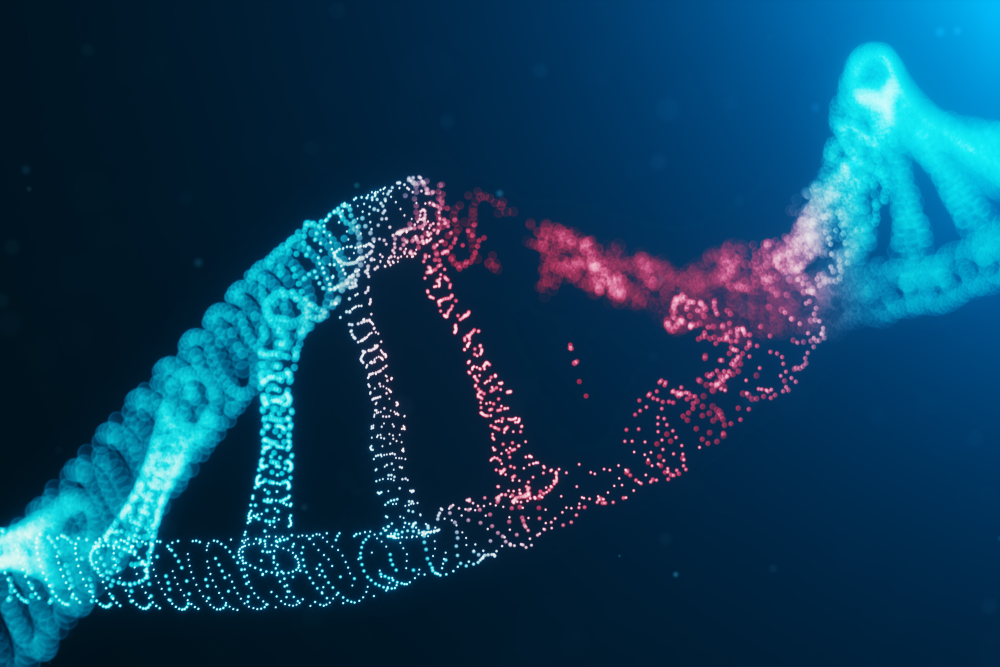 In Vitro Pharmacology Study Capabilities | PORSOLT
